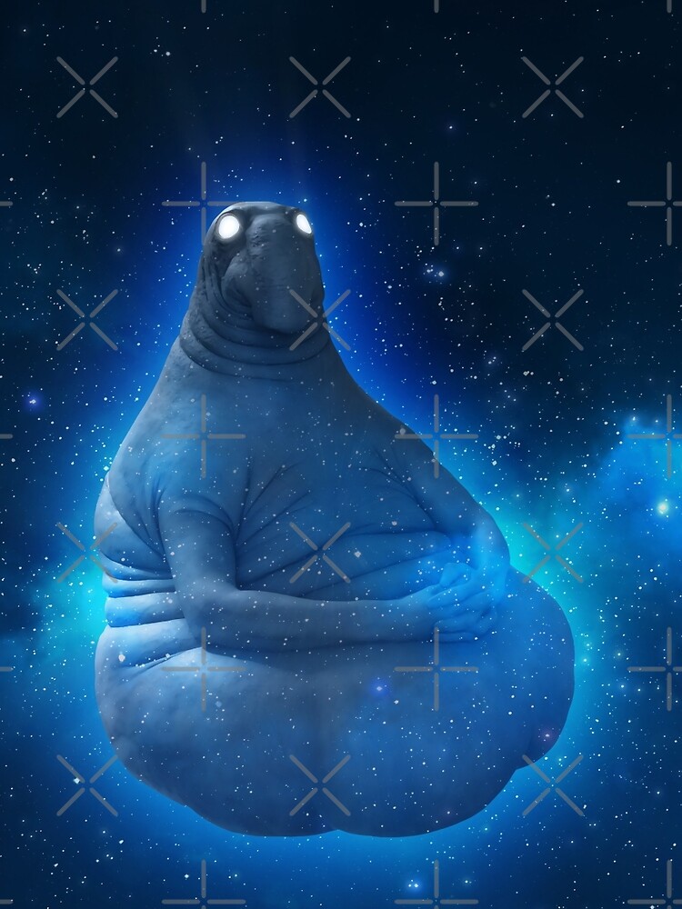 "Cosmic zhdun" Graphic T-Shirt for Sale by dima-v | Redbubble