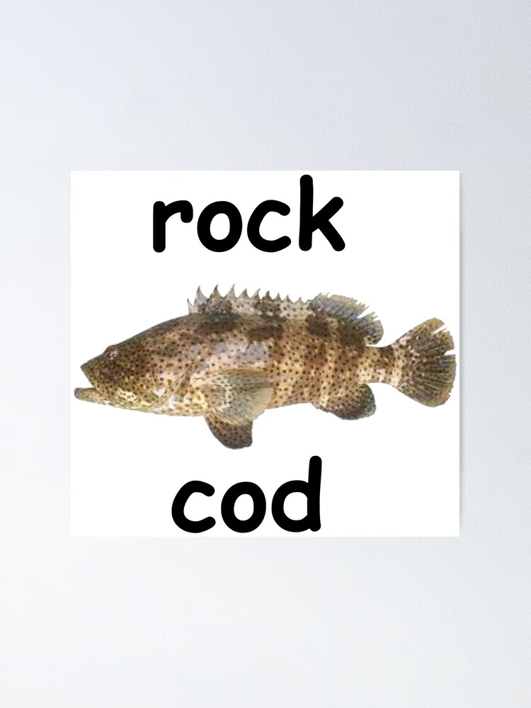 "rock cod" Poster for Sale by Rock-Cod | Redbubble