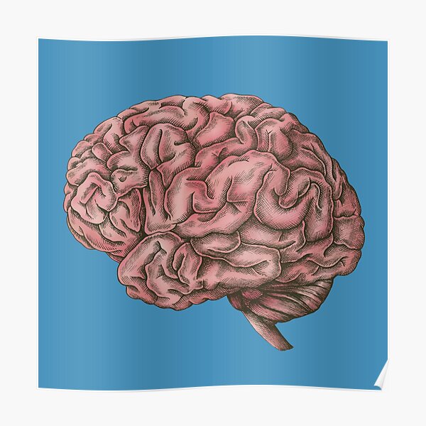 "Sapiosexual - Love on the brain " Poster by kwbord | Redbubble