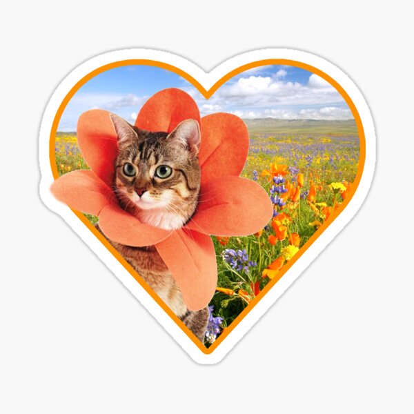 "Kitty Stickers: Flowery Kitty" Sticker for Sale by Elisecv | Redbubble