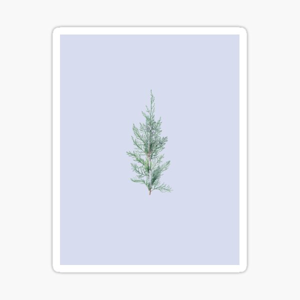 "Juniper" Sticker by Driftwood77 | Redbubble