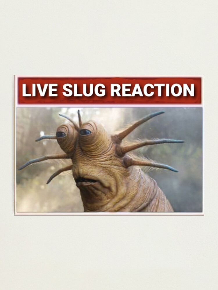 Impression photo « Live Slug Reaction Meme mis à l'échelle », par ...