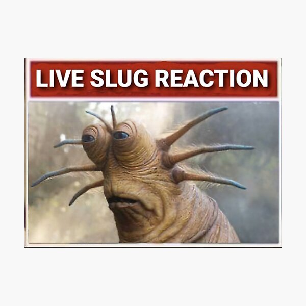 Impression photo « Live Slug Reaction Meme mis à l'échelle », par ...