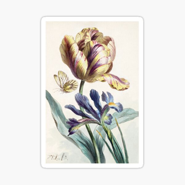 "Portrait of Willem Van Leen" Sticker by Zenkaye | Redbubble