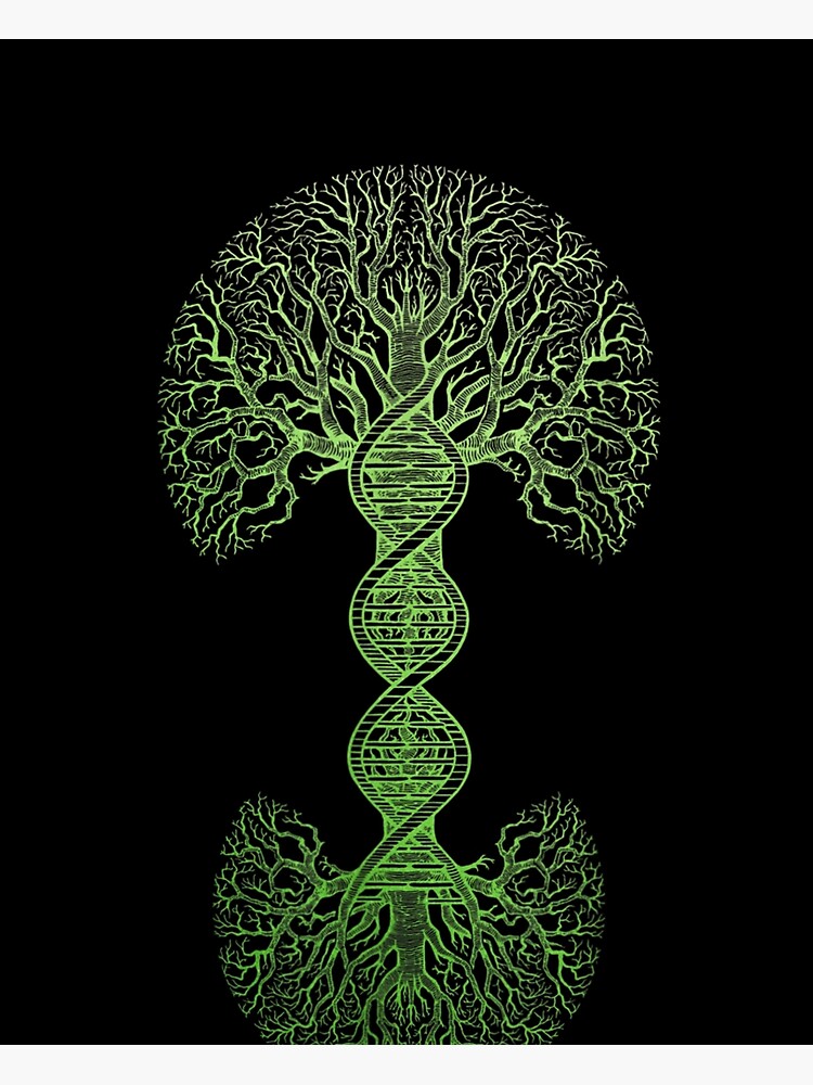 "DNA Tree Of Life Science of Genetics Earth Day Genealogy" Poster for ...