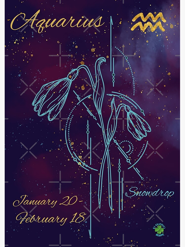 " Aquarius Zodiac Sign January Birth Month Flower Snowdrop Night Sky ...