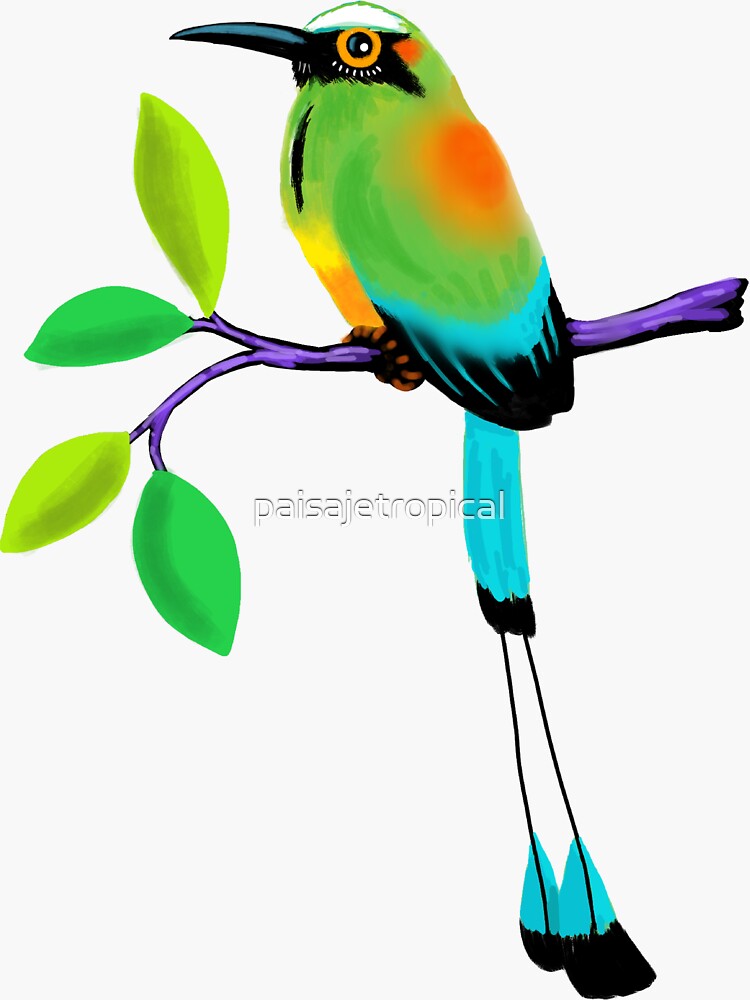 "Hermoso Torogoz" Sticker by paisajetropical | Redbubble