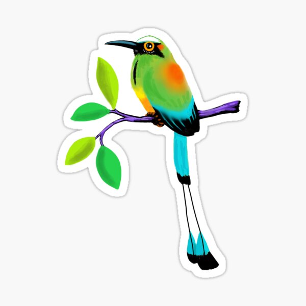 "Hermoso Torogoz" Sticker by paisajetropical | Redbubble
