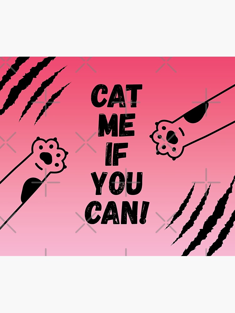 "Cat me if you can for cat fans and lovers" Poster for Sale by ...