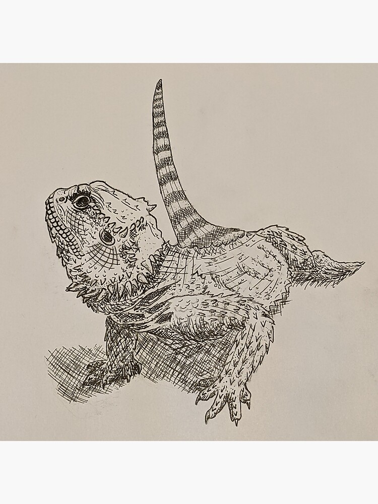 "Bearded dragon line art" Poster for Sale by ScaleQueen | Redbubble