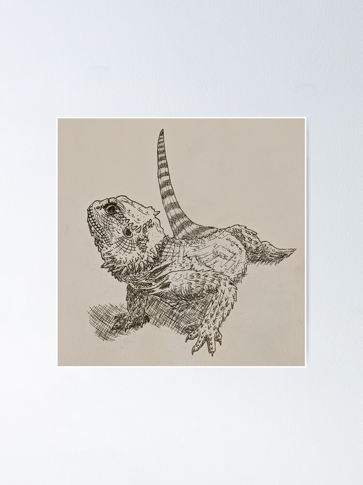"Bearded dragon line art" Poster for Sale by ScaleQueen | Redbubble