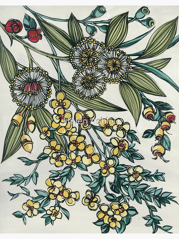 "Retro Australian Native Floral" Sticker for Sale by HelenAshley ...