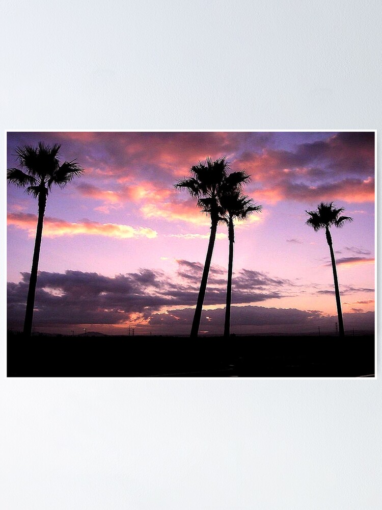"Palm Tree Evening Design" Poster for Sale by shalakacreats | Redbubble