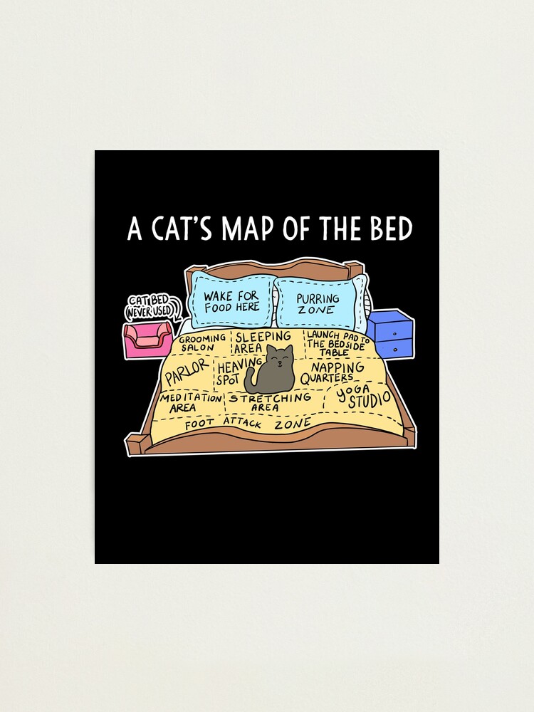 "Cats Map of the Bed Funny Cat gift for Cat owner" Photographic Print ...