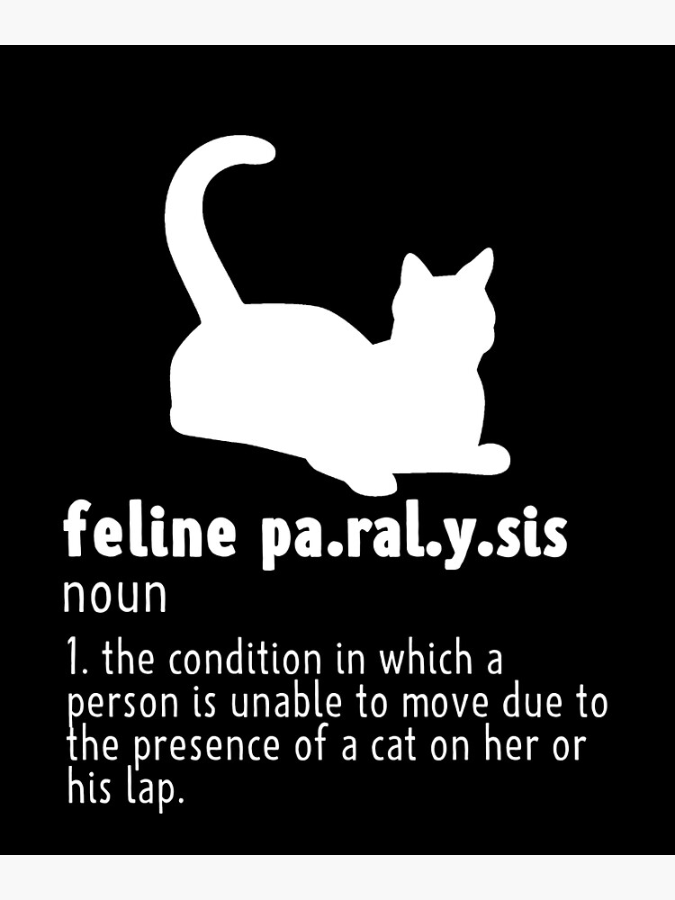 Feline Paralysis Memes Cat Tips & Tricks | Avoid These Mistakes!
