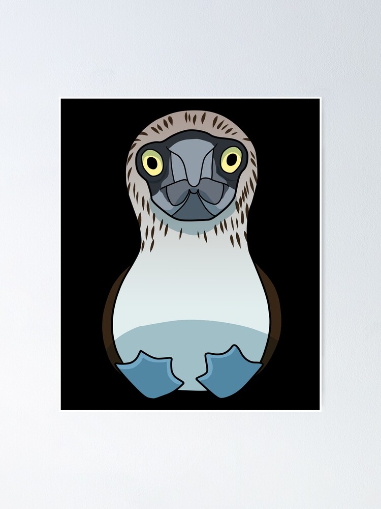 "Funny Sitting Blue-Footed Booby Bird" Poster for Sale by alwe-designs ...