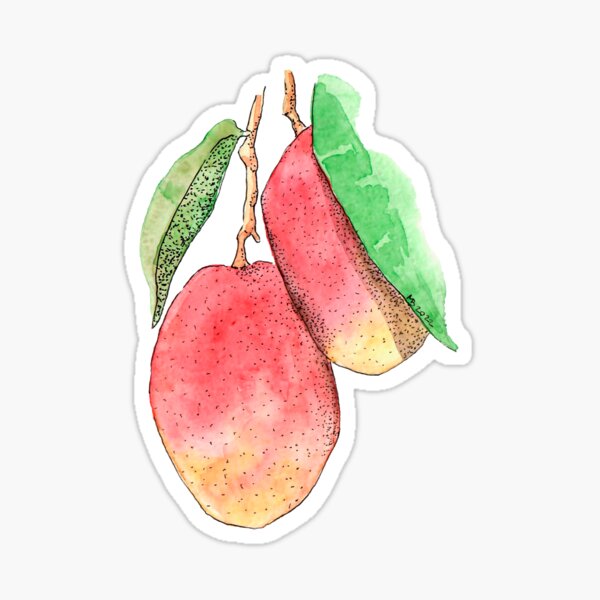 "Two mangoes" Sticker by MariaY25 | Redbubble