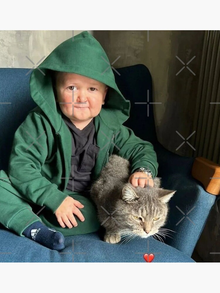 Sticker « Hasbulla - Sourire drôle de Hasbulla Hasbullah - Chat ...