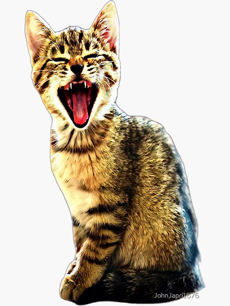 "Laughing cat" Sticker by JohnJapri1676 | Redbubble