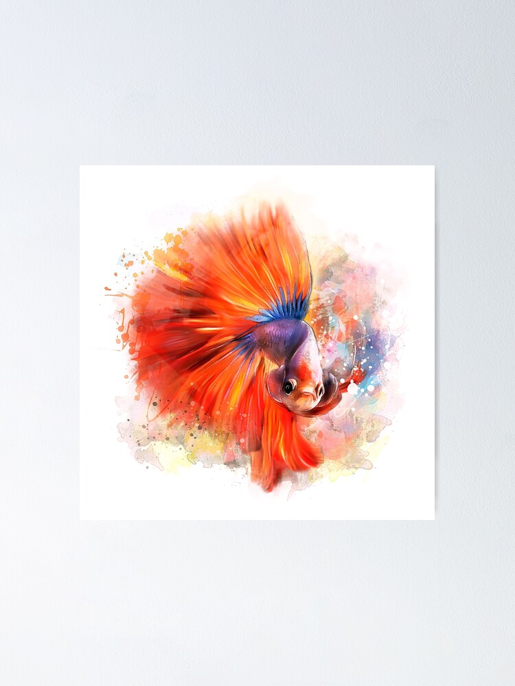 "betta fish" Poster for Sale by G-pro | Redbubble