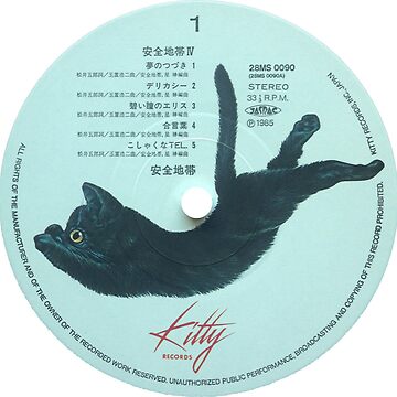 "Kitty Records" Sticker for Sale by SquigglyCoconut | Redbubble