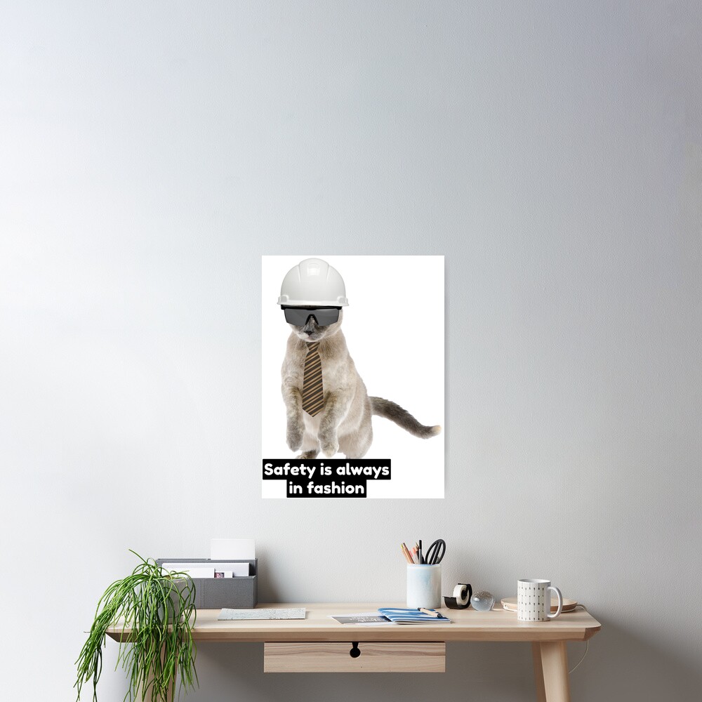 "Safety is always in fashion, Vincent the safety cat, Funny Cat meme ...