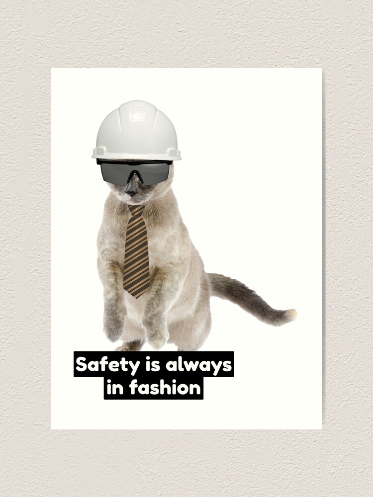 "Safety is always in fashion, Vincent the safety cat, Funny Cat meme ...