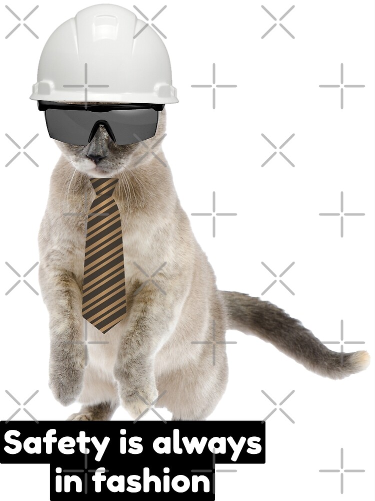 "Safety is always in fashion, Vincent the safety cat, Funny Cat meme ...