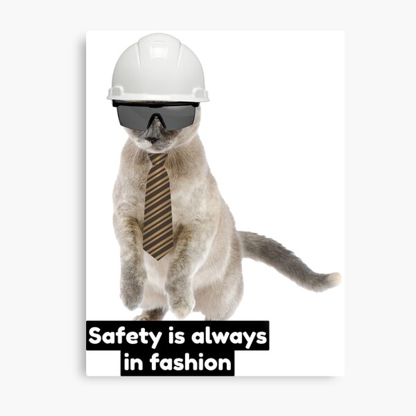 "Safety is always in fashion, Vincent the safety cat, Funny Cat meme ...