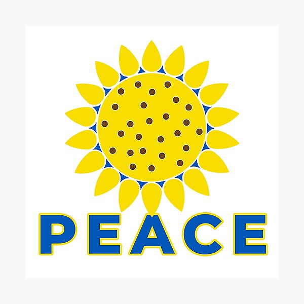 " Eine Sonnenblume für die Ukraine und ein Wunsch nach Frieden ...
