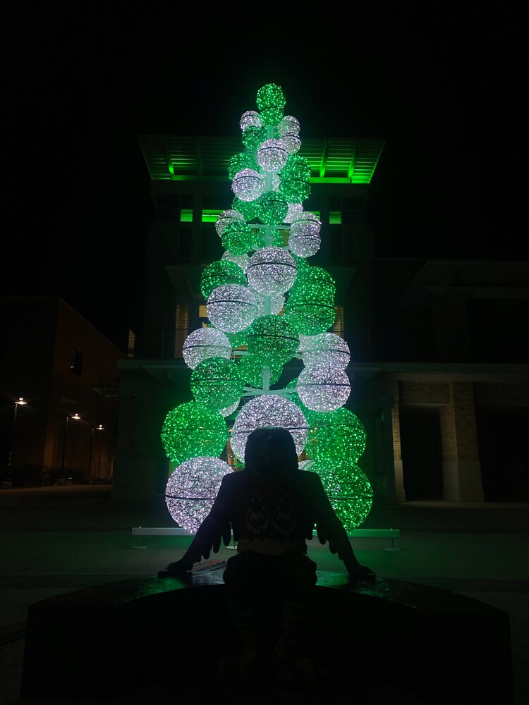 "unt scrappy statue in december" Sticker by kateispenguin23 | Redbubble