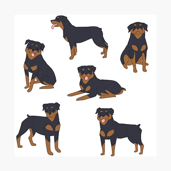"8 Rottweiler dog pack cute cartoon illustration " Photographic Print ...