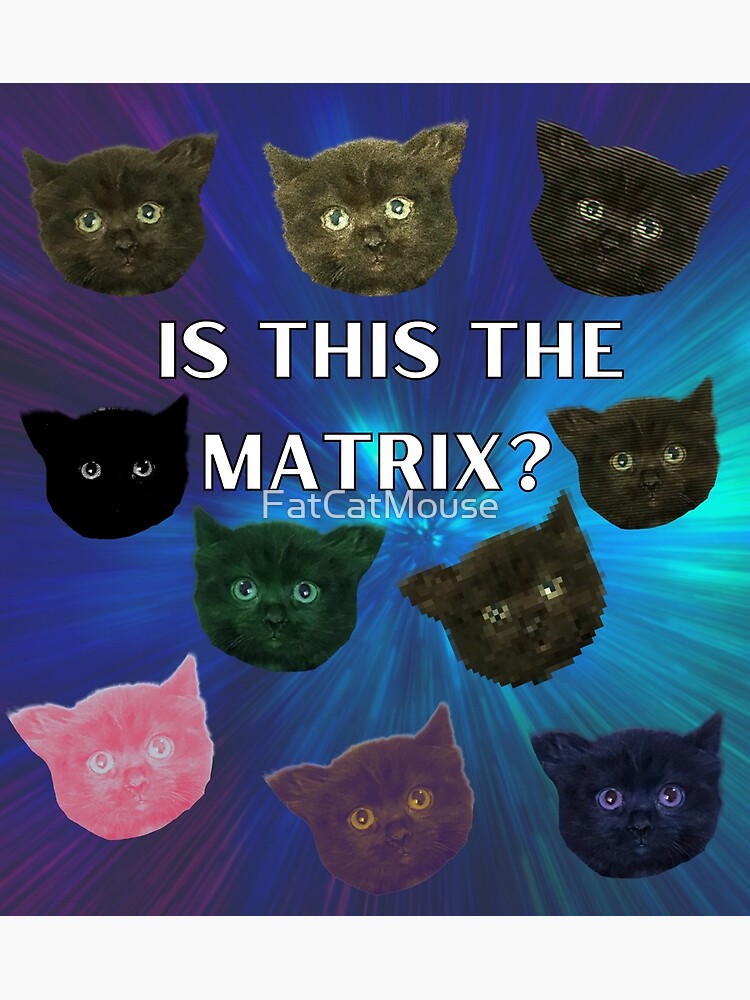 " Shadow Cat In Matrix, space cats, trippy kitty" Poster by FatCatMouse ...