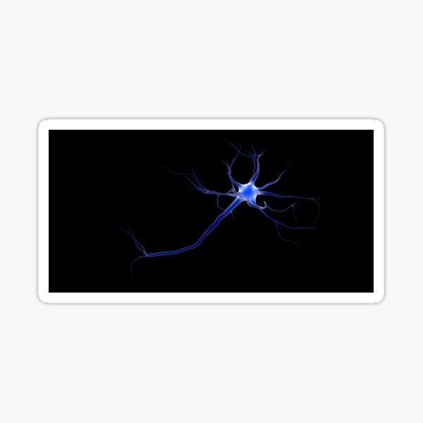 "Conceptual image of a neuron." Sticker for Sale by StocktrekImages ...