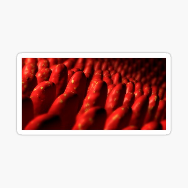 "Conceptual image of intestinal villi." Sticker for Sale by ...