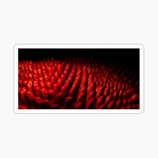 "Conceptual image of intestinal villi." Sticker for Sale by ...