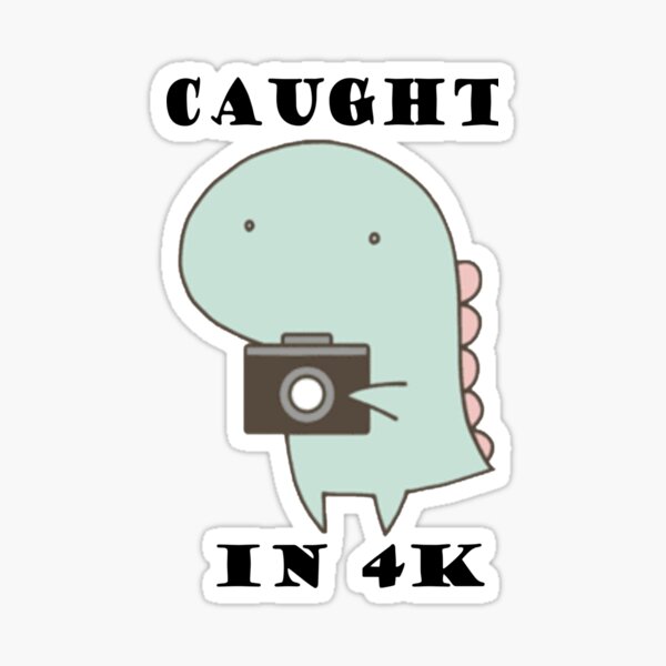 "Caught in 4k" Sticker by Alakai952 | Redbubble