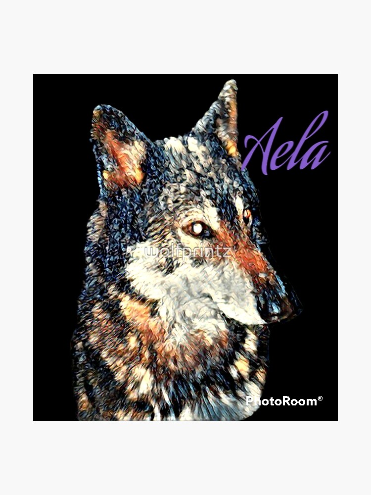 "Aela # 2 in the pack..sweet smart and shy" Sticker by wolfprintz ...