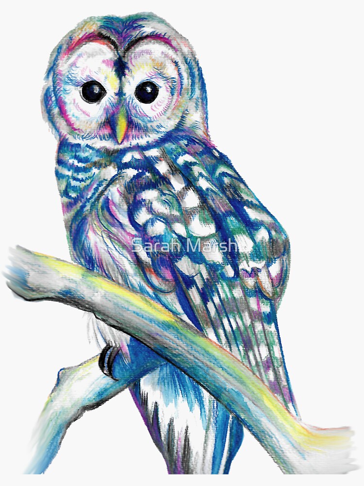 "Owl, colourful owl art" Sticker for Sale by sarahmarsh1234 | Redbubble