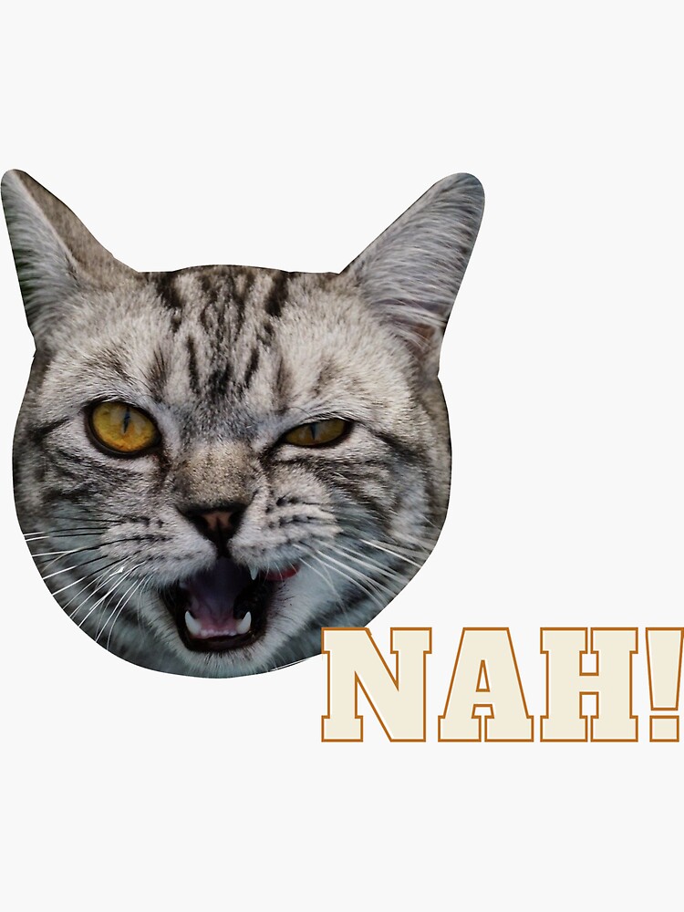 "Nah! Angry cat." Sticker by Sangside | Redbubble