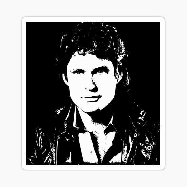 David Hasselhoff Stickers | Redbubble