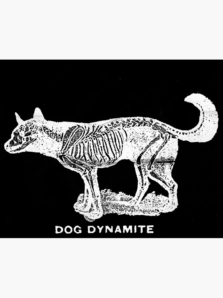 "Dog Dynamite" Sticker for Sale by Bop1975 | Redbubble