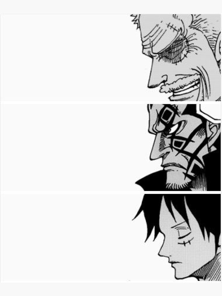 "MONKEY D Family" Poster by animervd1 | Redbubble