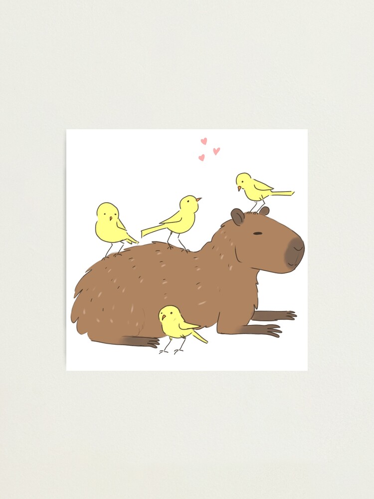 "capybara with birds friends- a cute cartoon capybara chilling ...