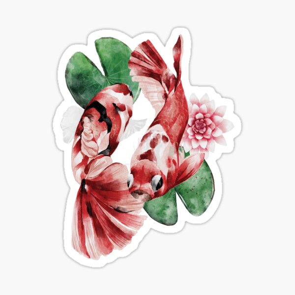 "Koi Fish" Sticker by AnastasiaDesign | Redbubble