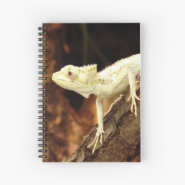 Fearless-Fox Shop | Redbubble