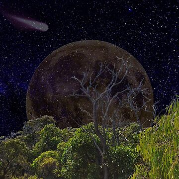 "Native Bush Designs - Australian Bush Collection Flora designs" Canvas ...