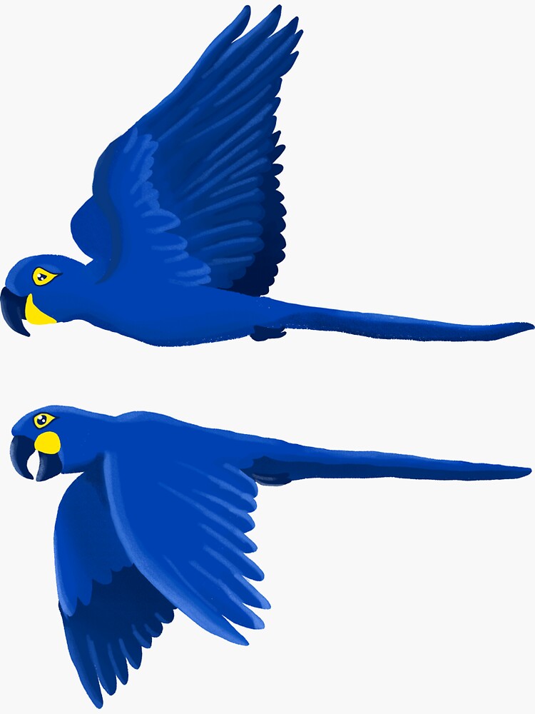 "hyacinth macaw" Sticker by millartsy | Redbubble