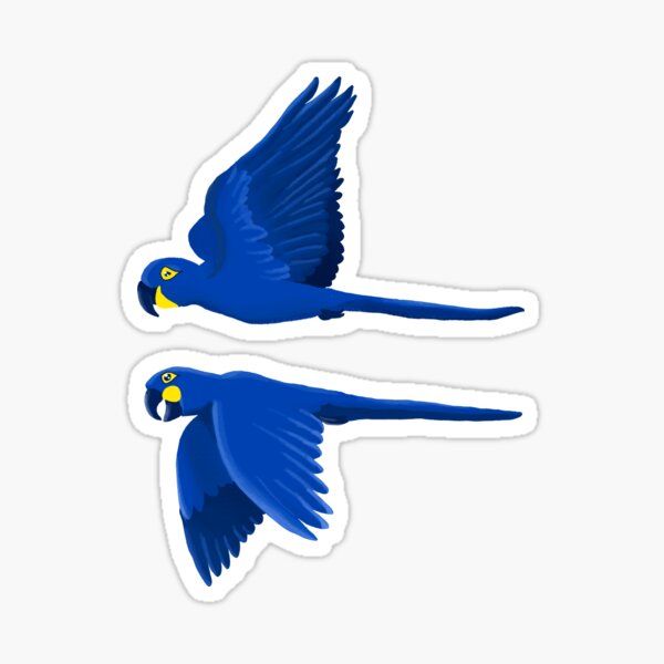 "hyacinth macaw" Sticker by millartsy | Redbubble