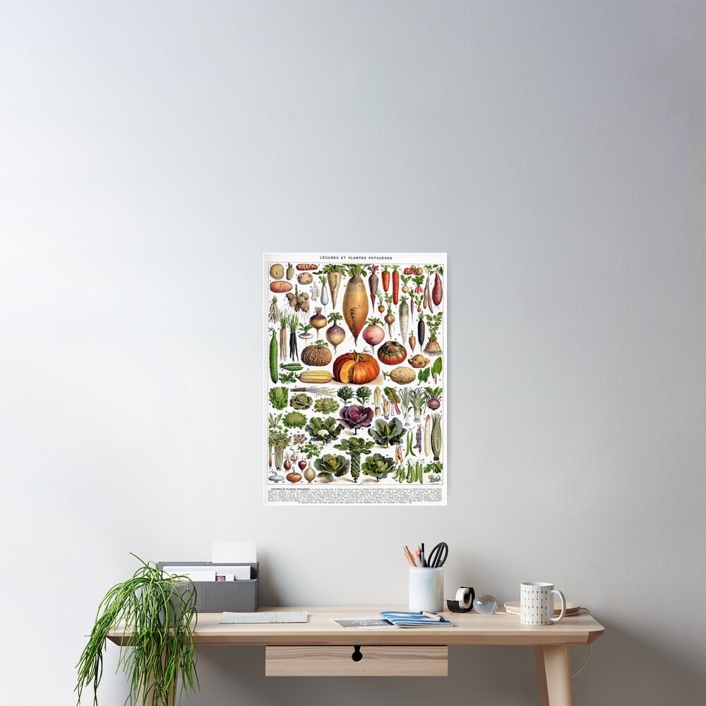 "A Retro Vegetable Wall Chart In French" Poster by Pictureitdesign ...